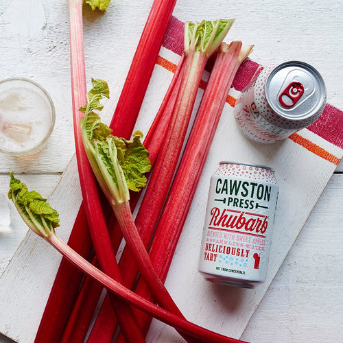 Sparkling Rhubarb (24/48 pack)